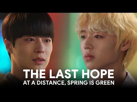 [ENG SUB] Park Ji-hoon is the last hope of Bae In-hyuk | At a Distance, Spring is Green 멀리서 보면 푸른 봄