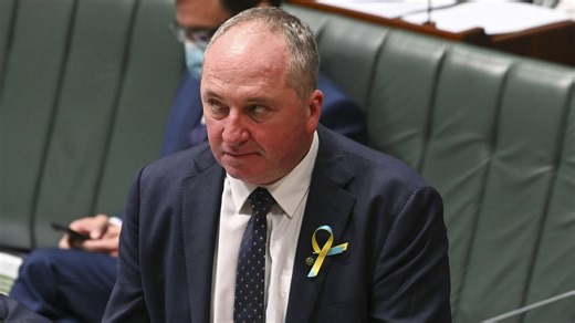 Former deputy prime minister Barnaby Joyce discusses his attack on net zero and how it is not undermining Opposition Leader Sussan Ley. | Sky News Australia
