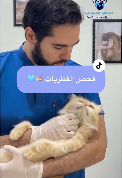 فحص دوري لصحة أليفكم - نصائح مهمة