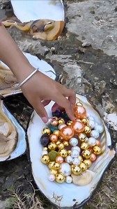Pearls and Shells in Harmony #pearl #foryou #fyp #pearls #asmrsounds #satisfying #satisfyingvideo #asmrvideo | Pearlbeauty99