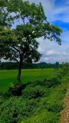 Me nali me gir gai🤣#viral #like #live