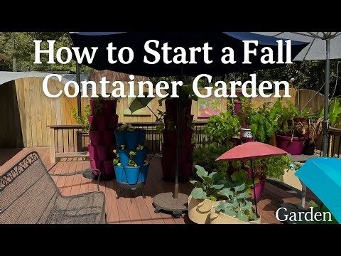 How to Start a Fall Container Garden | 5 Easy Tips