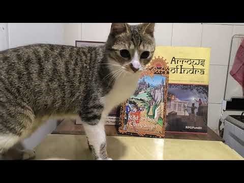 The New Forgotten Realms Books are the Last Gasp of the Original 2024e Plan