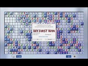 Minesweeper, How to Play Expert Level, Windows Game