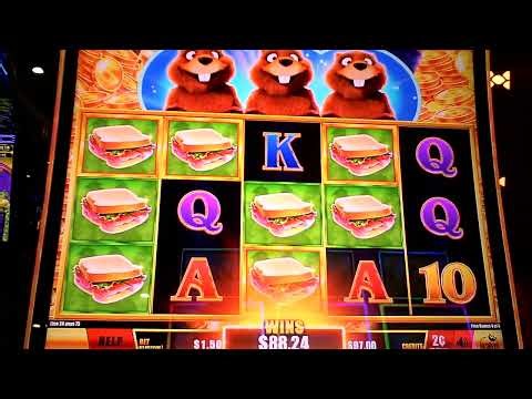 Timber Jack Going Wilder Slot Machine NICE WIN Bonus