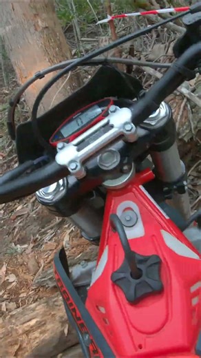 Why Every Beginner is Buying the Beta X-Trainer!