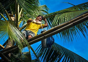 DOST develops test kit detecting poisonous methanol levels in lambanog | Coconuts