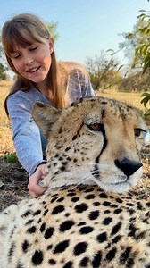 This male cheetah was rescued as a cub - it is so cool to see his amazing speedy adaptations up close! 🙌🏻🐆 | Brooke.Carter