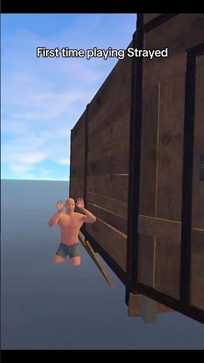 Strayed vr 2025 recap