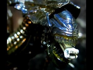 REVOLTECH QUEEN ALIEN REVIEW!