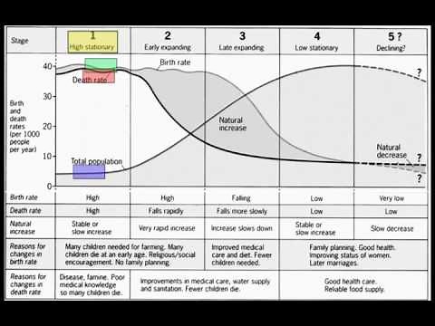 Unit 2 - Demographic Transition and Population Pyramids