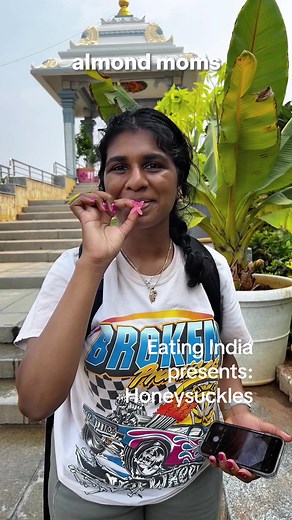 Delicious Honeysuckles: Nature's Hidden Summer Treat