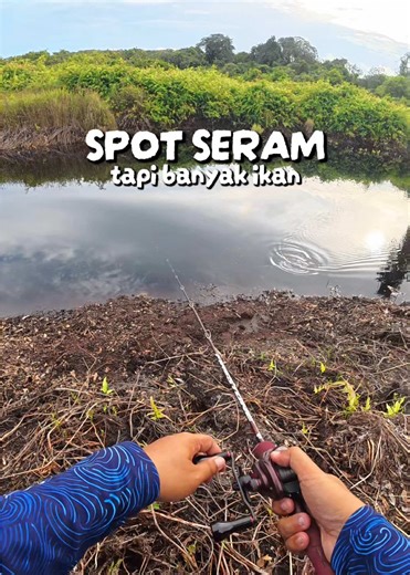 Mancing Ikan Bujuk: Teknik dan Lokasi Terbaik