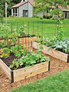 Deep Root™ Cedar Raised Beds, 4' Wide (14.5" D)