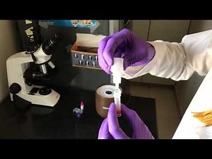 Coombs DAT test procedure with Alvedia kit