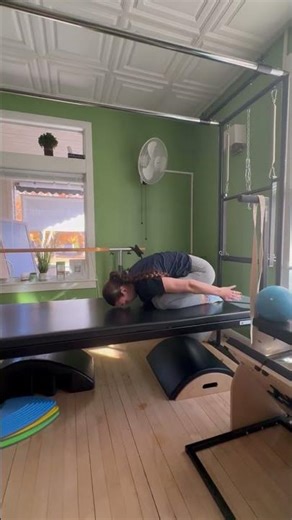 STOTT Pilates Shell Stretch