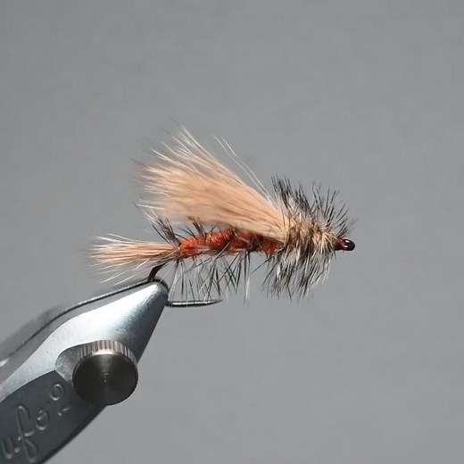 Classic Fly Tying: Crafting the Popular Stimulator Pattern