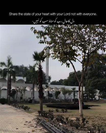 In the quiet corners of the campus, I’m reminded that not every feeling needs an audience, some conversations are meant only for the One who understands the heart best. 🤍🌿 #Peace #FaithOverEverything #HeartAndSoul #InnerPeace #TrustInAllah