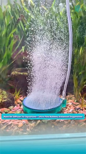 Nano Air Diffuser for Aquariums – Ultra-Fine Bubbles, Enhanced Oxygenation