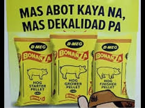 B-MEG Bonanza Hog Feeding Guide