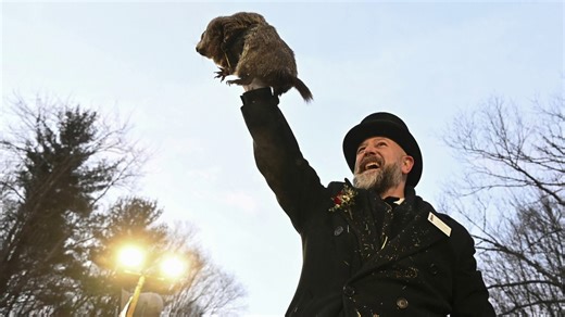 Punxsutawney Phil sees shadow, predicting 6 more weeks of winter
