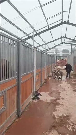 Premium Black Horse Stalls with Natural Wood | Complete Aisle View - DB Stable Manufacturing