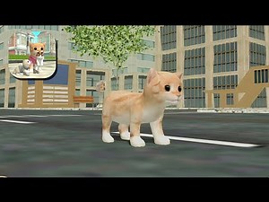 Cat Sim Online: Play with Cats #2 (Gameplay Android, iOS)