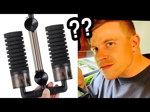 Hygger Double Sponge Filter Review