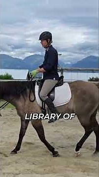First Canter Steps: Quality Riding & Rewarding Your Horse! #shorts