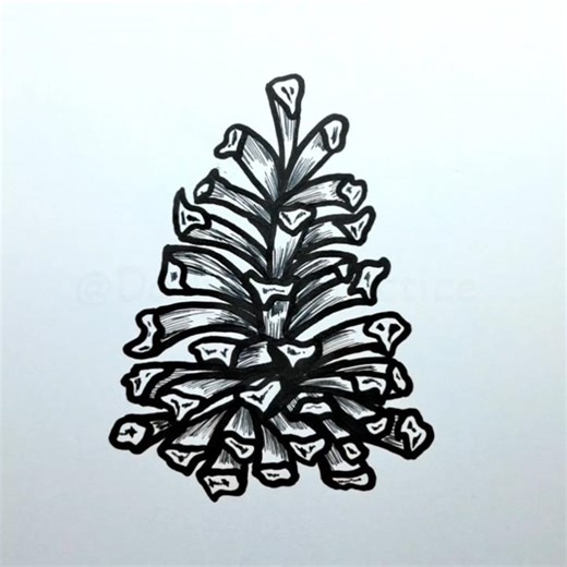 Pine cone ink pen drawing practice