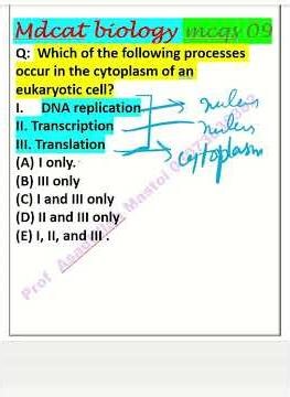 Biology Mdcat Mcqs 09 Which of the following processes occur in the cytoplasm of an eukaryotic cell