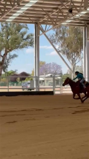 My snorty bay gave me his all. Thank you Sniper for the endless amount of try and heart you give me. A novice shootout buckle and fast times buckle this weekend. Thank you ! 2871 Tin Turners | By The Bit Horse Training & Coaching