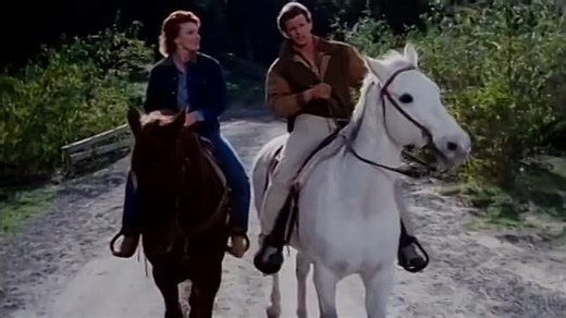 19 V S01E14 The Champion