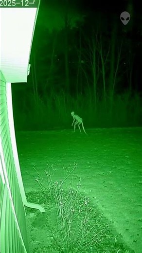 👀🟢 Night Vision SHOCK: Night Vision Camera Spots STRANGE Humanoid Creature Near Our House!