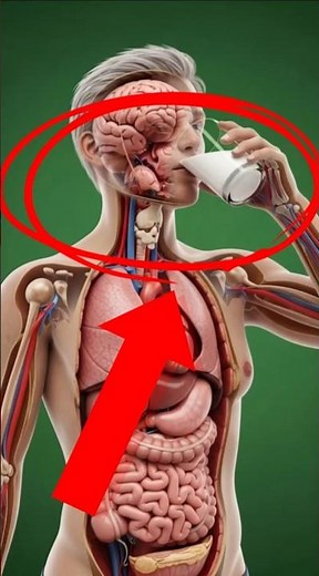 Milk in the Body — Complete 3D Cinematic Anatomy Explanation | What Happens When You Drink Milk?