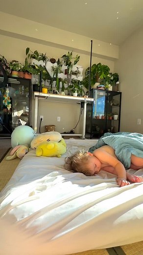 1.7K views · 78 reactions | Pure magic, my little boy sleeping in our sunroom. The reflection ball and suncatchers reflecting around, these are the moments ill come back to in my dreams when im older and he is grown. #baby #happybaby #cutebaby #sillybaby #sleepybaby #babiesofinstagram #babies #babiesbabiesbabies #momlife #magic #babygram #toddler #toddlermomlife #toddlersofinstagram | plantingashley | Facebook