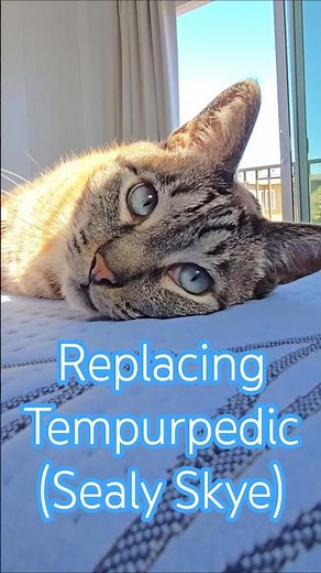 Replacing Tempurpedic with Sealy Skye Sleepy's Hybrid Medium Firm Mattress