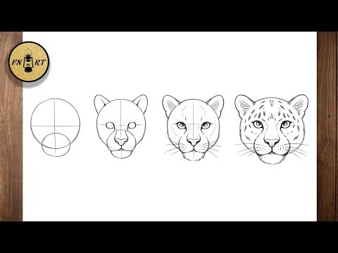 How to draw a amur leopard step by step easy