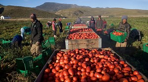 Inside the World of Innovative Food Processing in Modern Factories