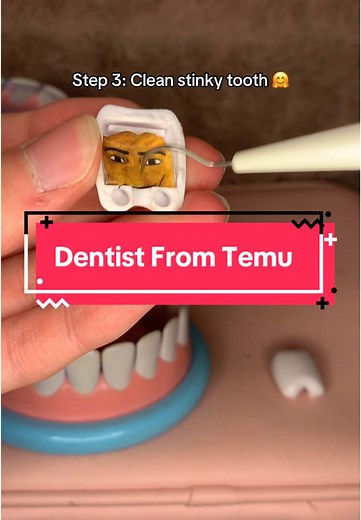 Dentist Life: ASMR Tooth Cleaning Process Explained