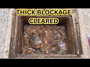 Drain Master FIXES Sunday Emergency Blocked Toilet!