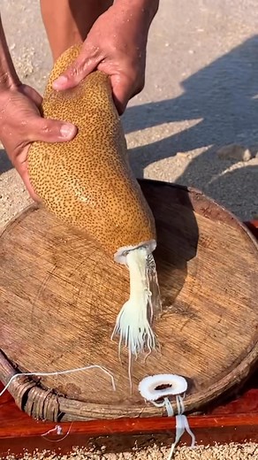 Expensive sea cucumber🥰❤️ #seafoodsblessingchallenge #videograms #mondayspecial | Great Master