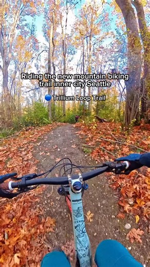 Jaki Portolese on Instagram: "We tried the brand new urban mountain biking trail in Seattle yesterday and got a little leaf peeping in! The new “Trillium Loop Trail” is in Beacon Hill’s Cheasty Greenspace, and is a stunning 1-mile, one-way 134ft gain singletrack.. officially making the longest official urban mountain bike loop inner city! @evergreenmtb, @seattleparksandrec, @seattleparksfoundation and @cheastytrails spent over a decade building this flowy blue loop and it finally opened to the p