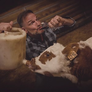 17K views · 259 reactions | « Un veau qui tète bien n’a pas besoin de foin » ✅ Nouveau clip à voir sur YouTube  : https://www.youtube.com/watch?v=odPsJpfAFQU | WAZOO | Facebook