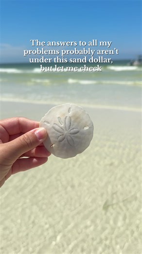 Nope! Maybe the next shell will have the answers 🐚 #shelling #florida #beach #sanddollar #fypシ