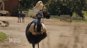 Every insurance-saving emu has humble beginnings, even LiMu. | Liberty Mutual Insurance