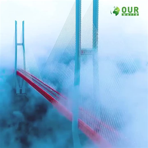 Platform 9 on TikTok