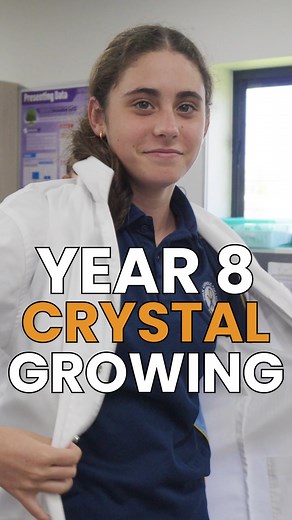 2K views · 19 reactions | CRYSTAL GROWING has been taking place in Year 8 Science 良 classes over the last few weeks. The students have learned about solvents and solutes 離 while competing to see who can grow the largest crystal. | Ryan Catholic College | Facebook