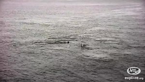 16K views · 1K reactions | Sound ON: Northern Residents visit the...