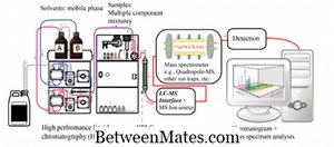 Diferença entre GC-MS e LC-MS Diferença entre - Outras 2026